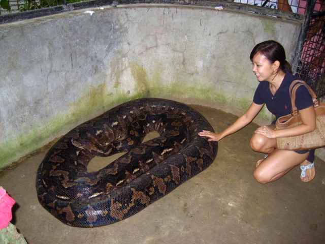 Visiting Bohol: An experience worth repeating | GMA News Online